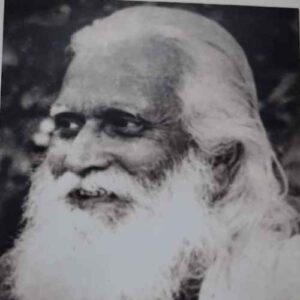 Ramnarayan Singh - Constitution of India