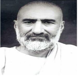 Khan Abdul Gaffar Khan - Constitution of India