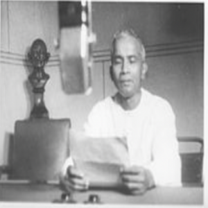 P. C. Ghosh - Constitution of India