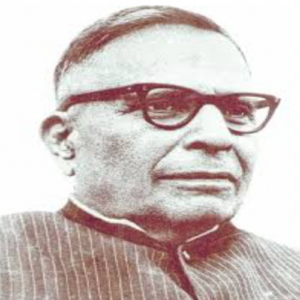 Harekrushna Mahatab - Constitution of India