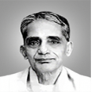 Biswanath Das - Constitution of India