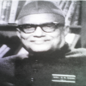 Surendra Mohan Ghose - Constitution of India